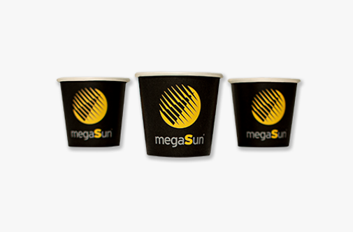 6000 Series | megasun